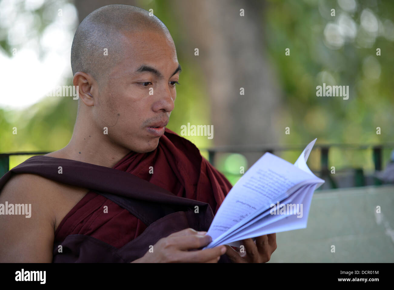 Monk reading news hi-res stock photography and images - Alamy