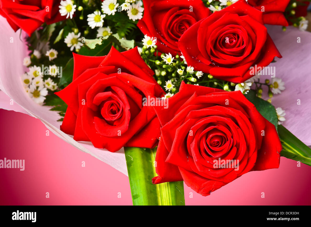 bouquet of roses Stock Photo - Alamy