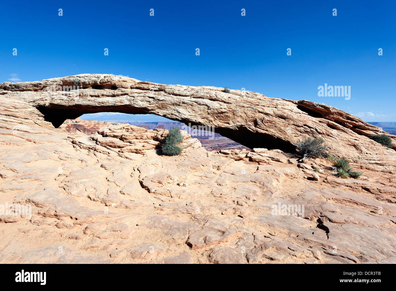 The famous Mesa Arch Stock Photo - Alamy
