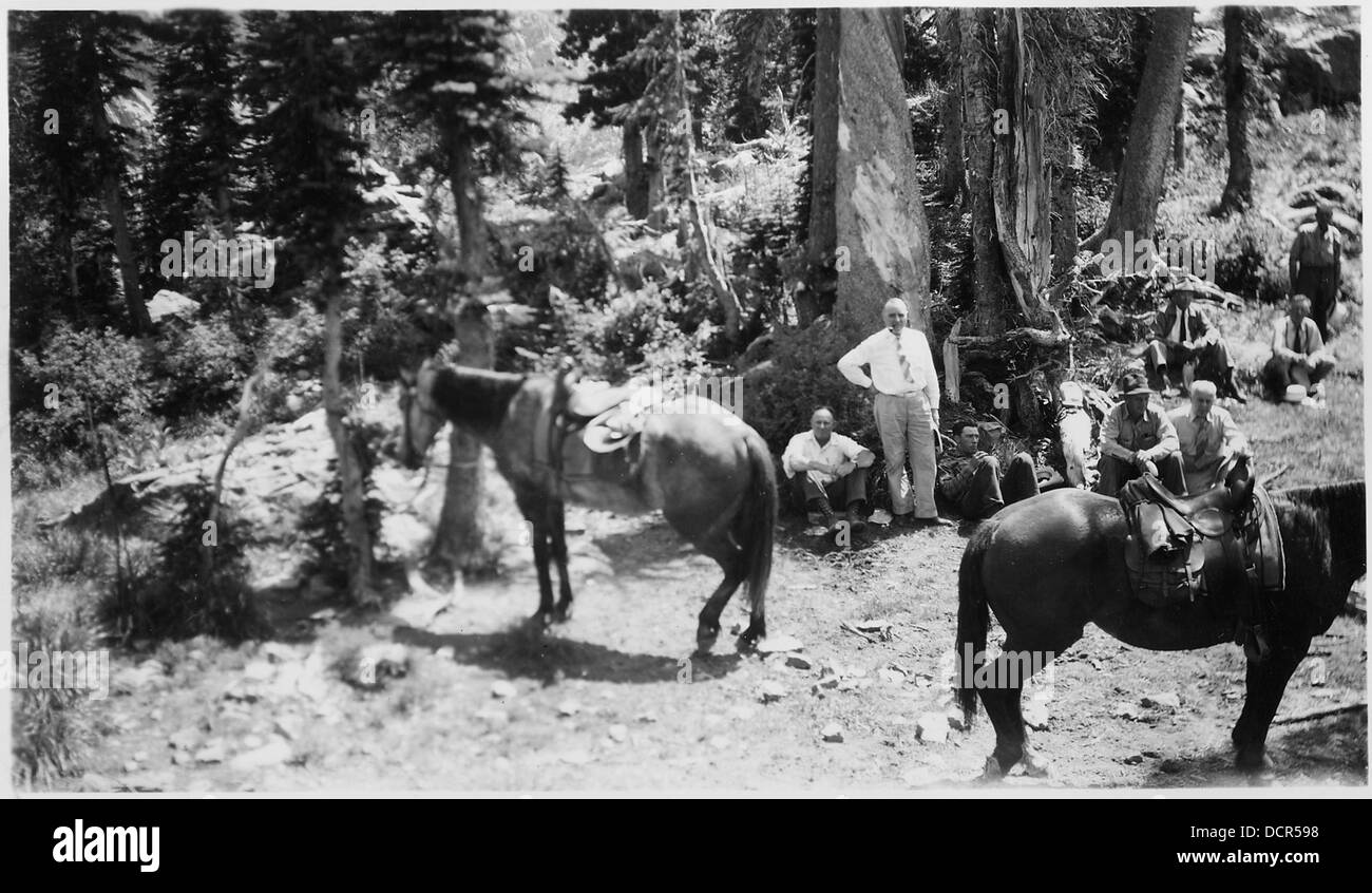Horses feeding time Black and White Stock Photos & Images - Alamy