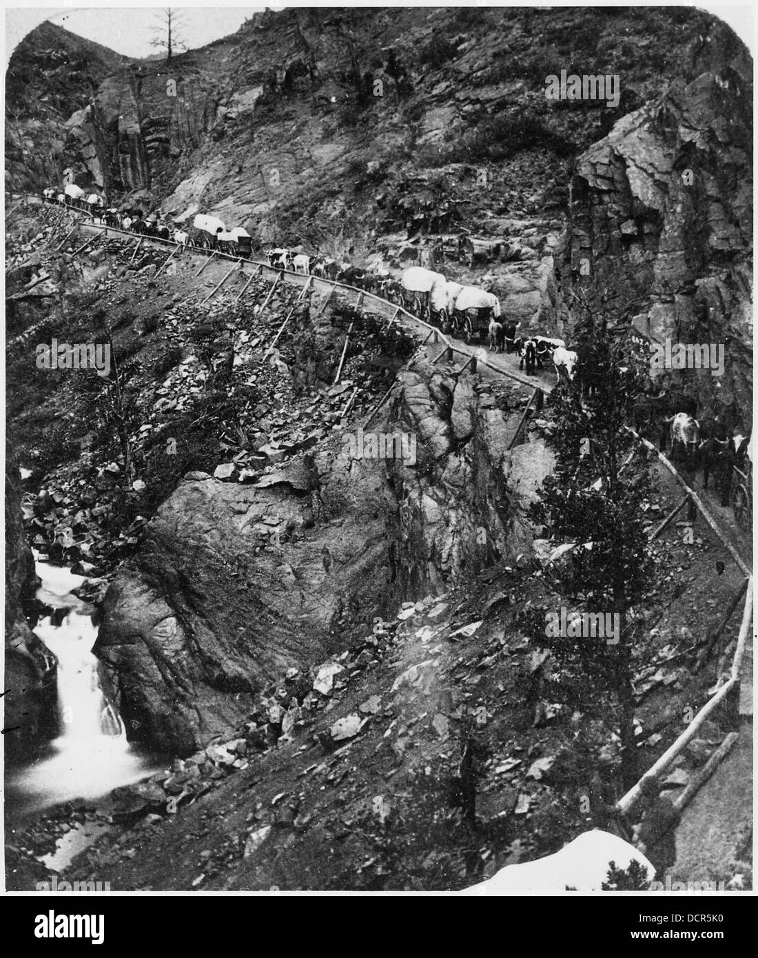 An oxen team ascends Ute Pass (U.S. 24) carrying supplies to the Ute ...