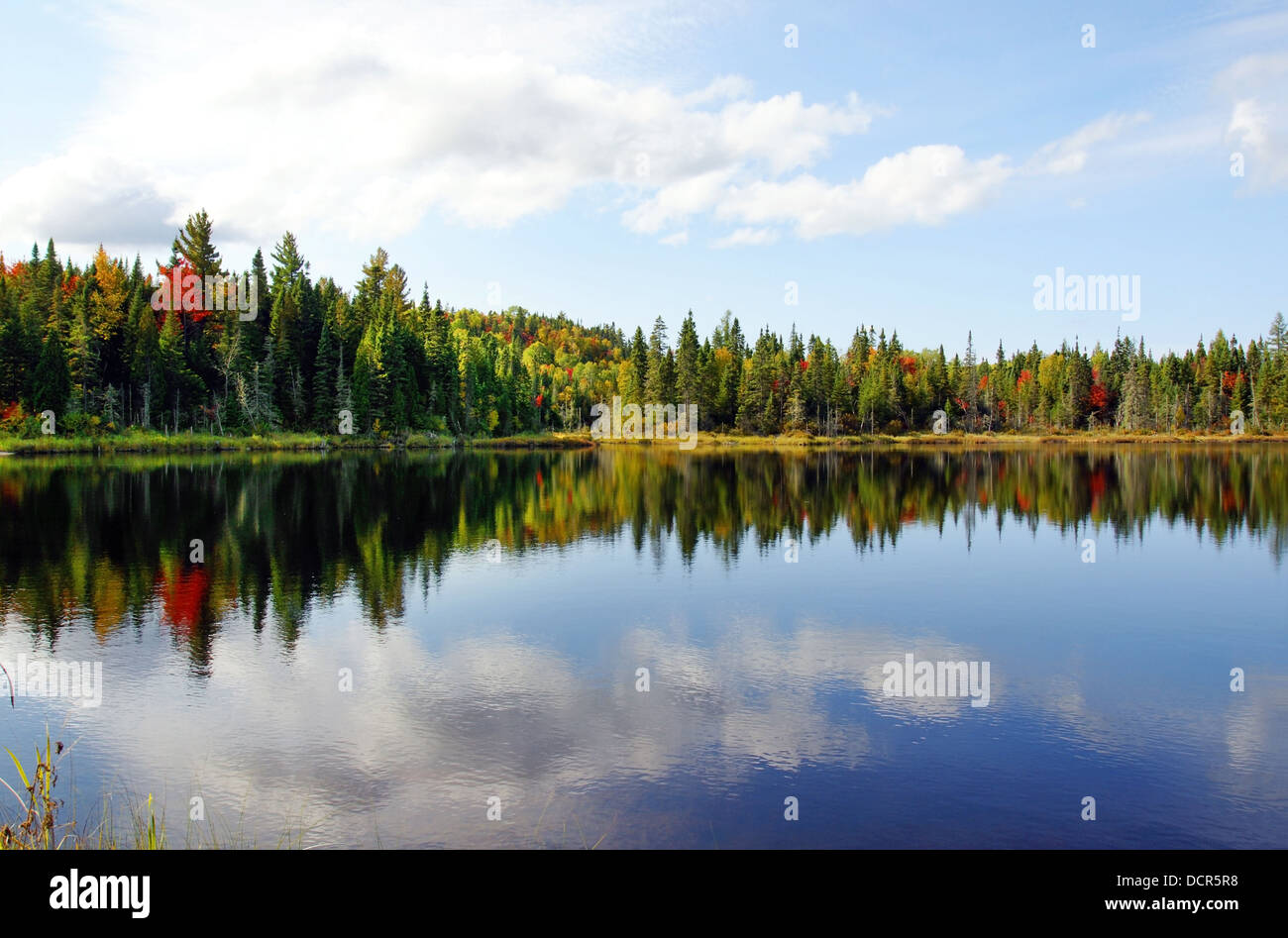 Fall season at a northern lake Stock Photo - Alamy