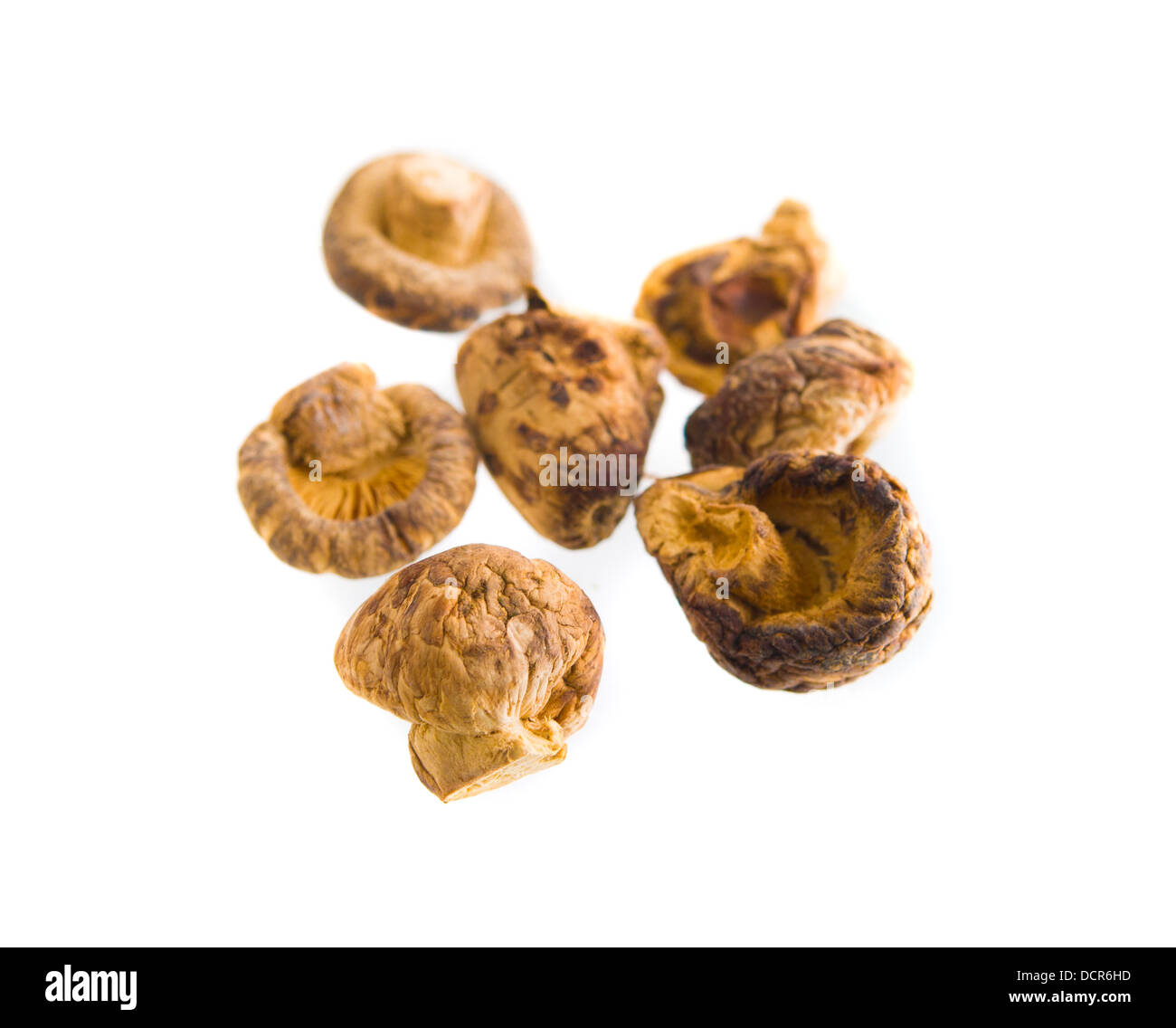 Selective closeup shot brown Cut Out Stock Images & Pictures - Alamy