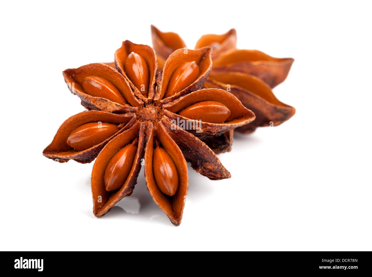Whole Star Anise isolated on white background, with copy space Stock ...