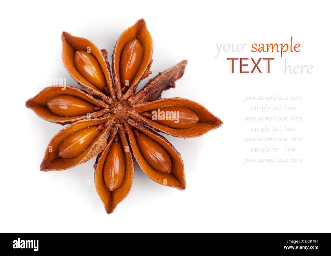 Whole Star Anise isolated on white background, with copy space Stock ...