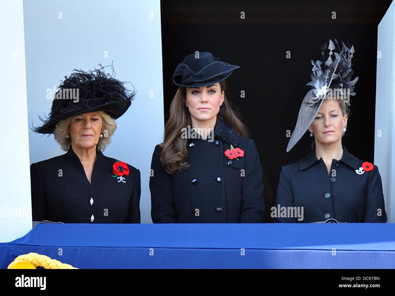 Duchess camilla sophie cenotaph hi-res stock photography and images - Alamy
