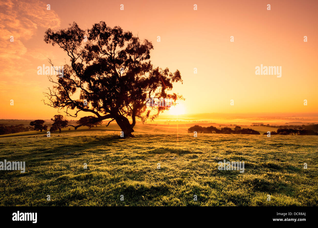 Crisp field hi-res stock photography and images - Alamy