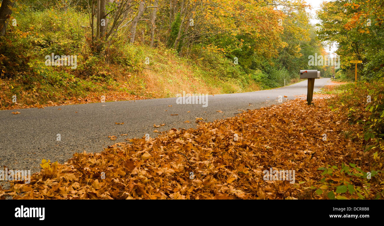 Fall on the Side Road Stock Photo - Alamy