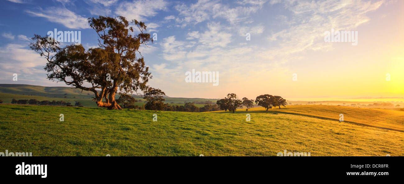 Clare south australia hi-res stock photography and images - Alamy