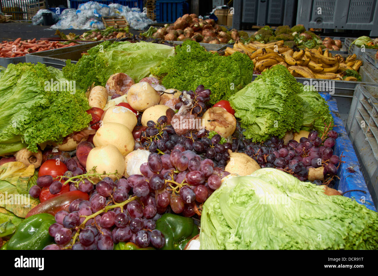Food waste bin hi-res stock photography and images - Alamy
