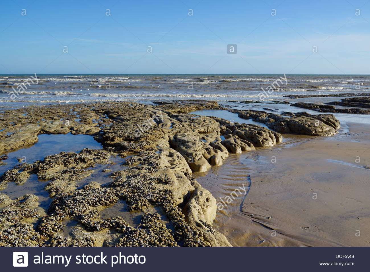 English Rock Pools High Resolution Stock Photography and Images - Alamy