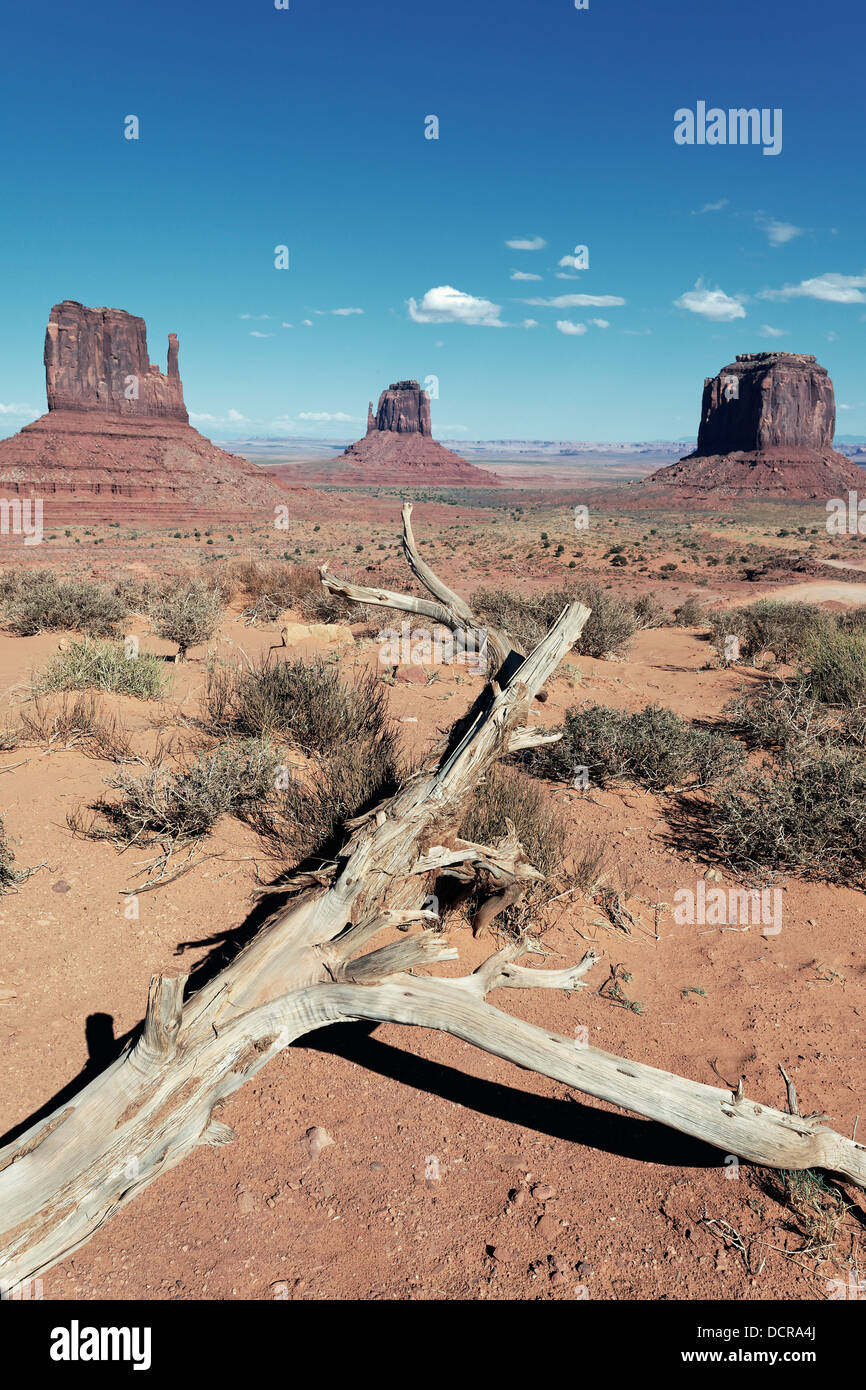 vertical view of Monument Valley Stock Photo - Alamy