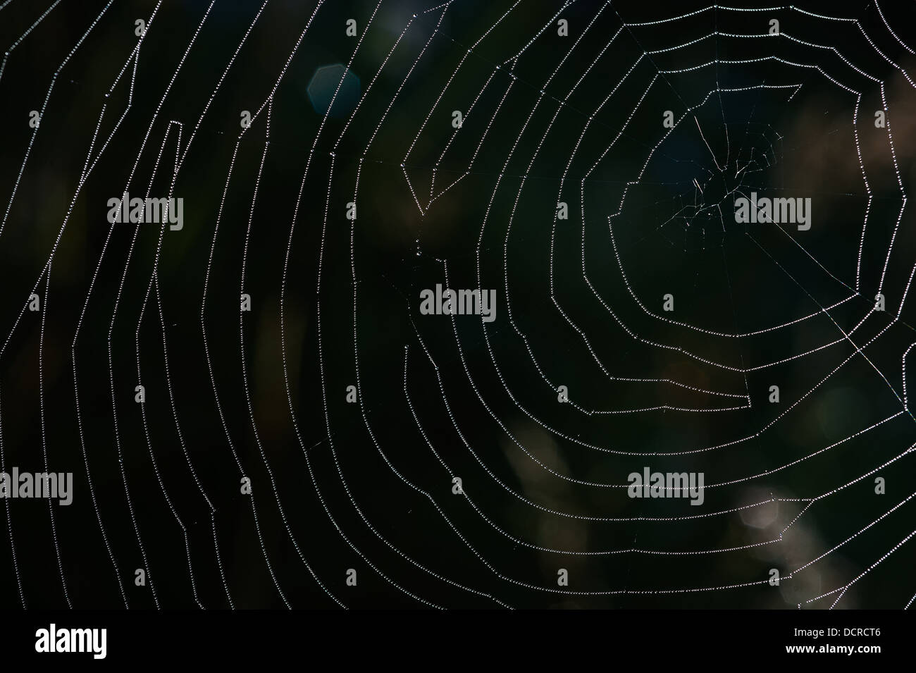 Net web hi-res stock photography and images - Alamy