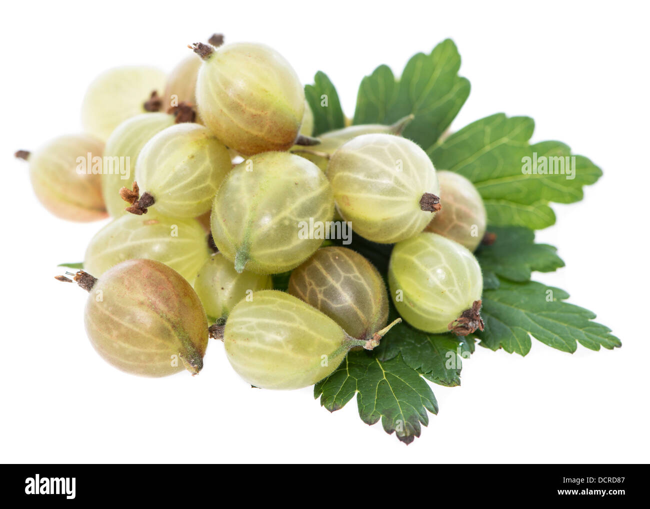 Isolated Gooseberries (on white background Stock Photo - Alamy