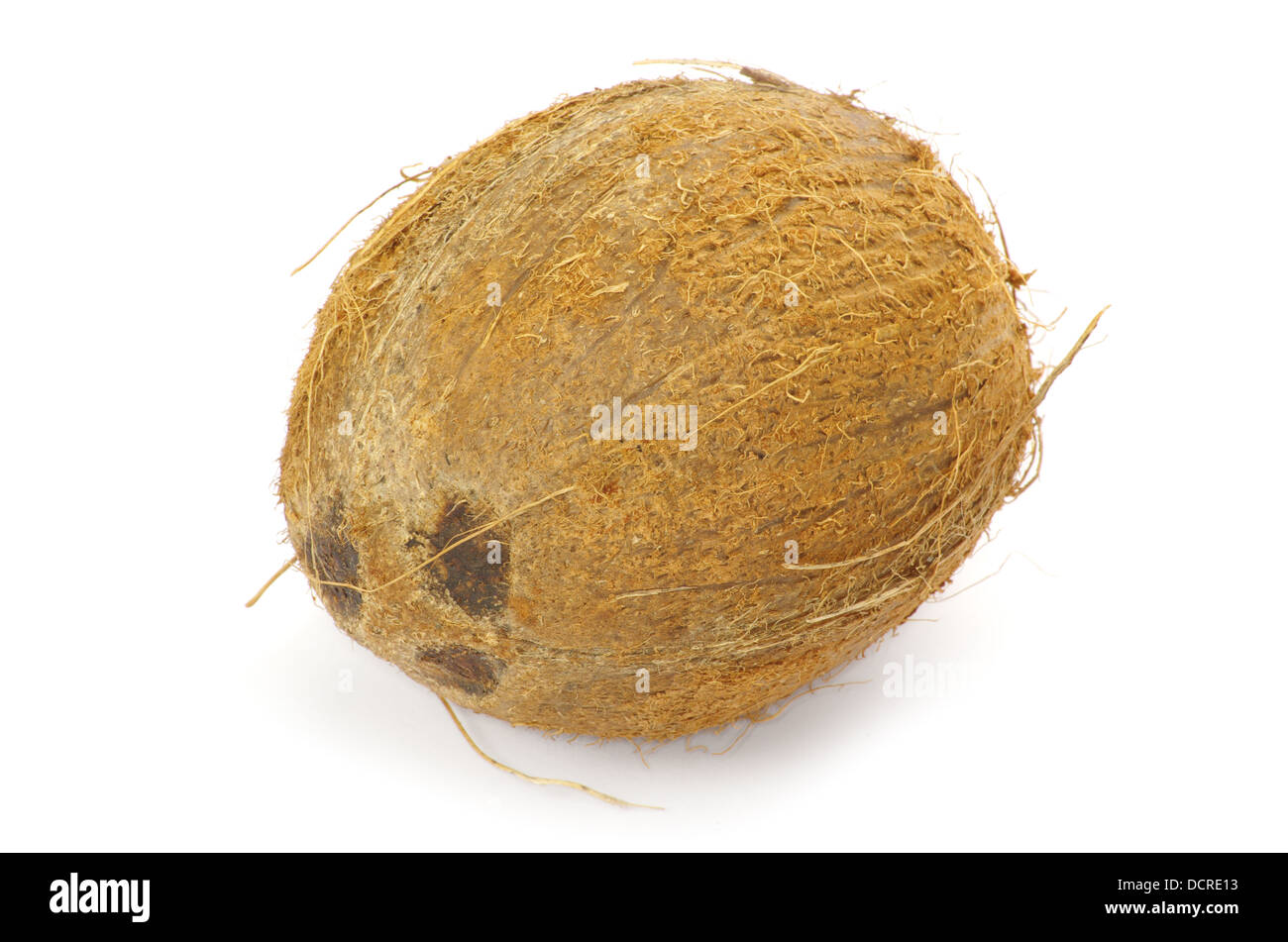 Coconut fiber Cut Out Stock Images & Pictures - Alamy