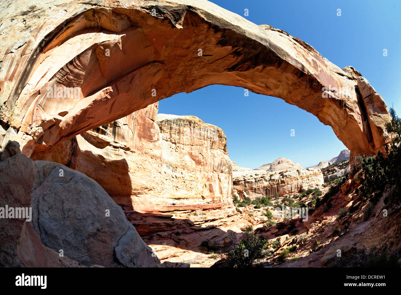 Hickman Natural Bridge Stock Photo - Alamy