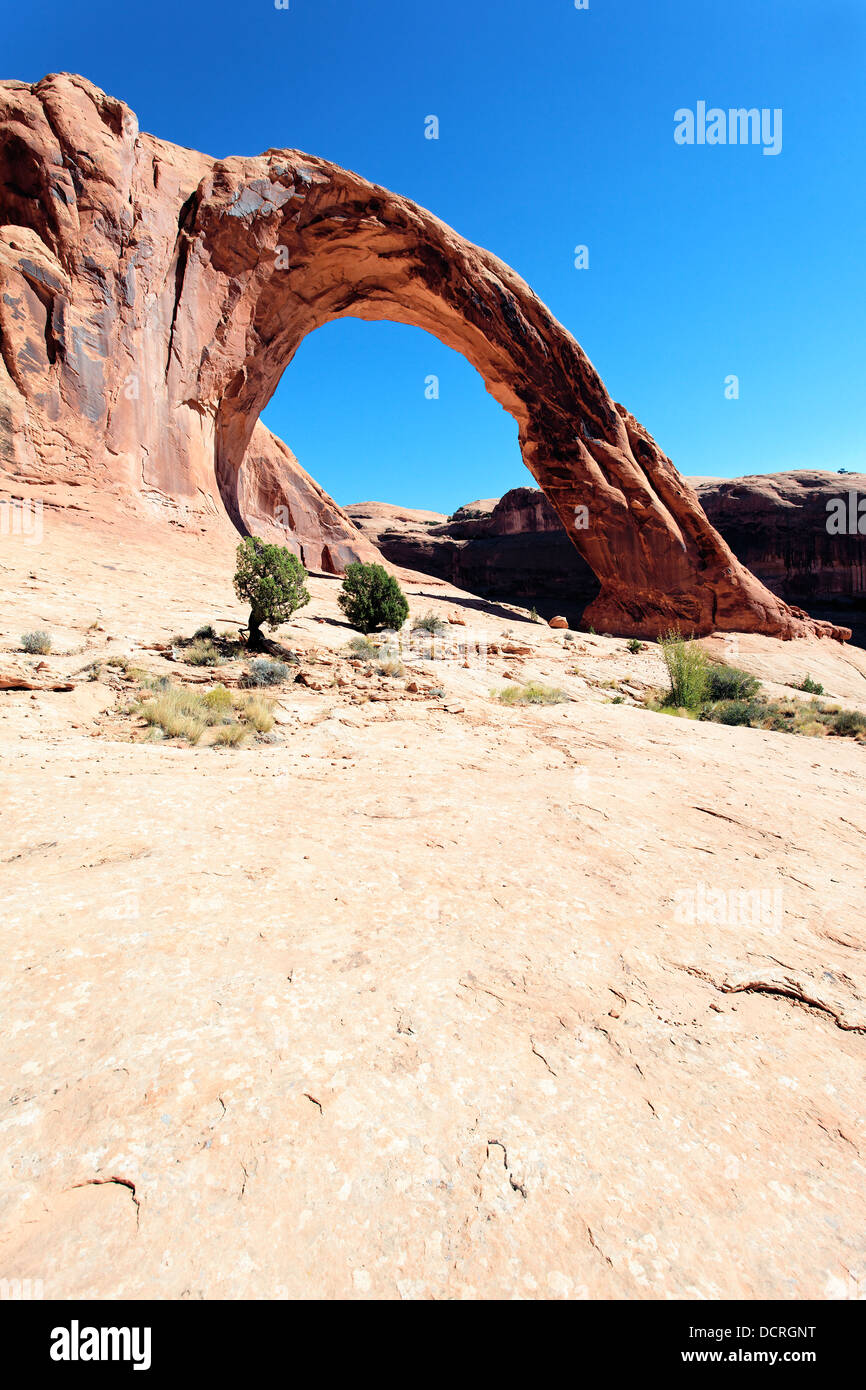 famous Corona Arch Stock Photo - Alamy