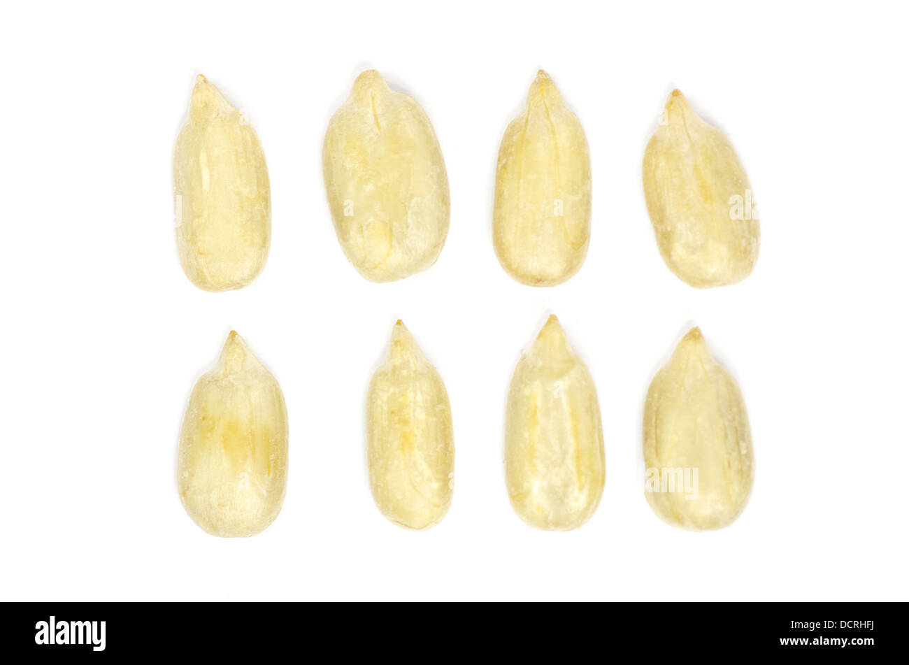 Seed details Cut Out Stock Images & Pictures - Alamy