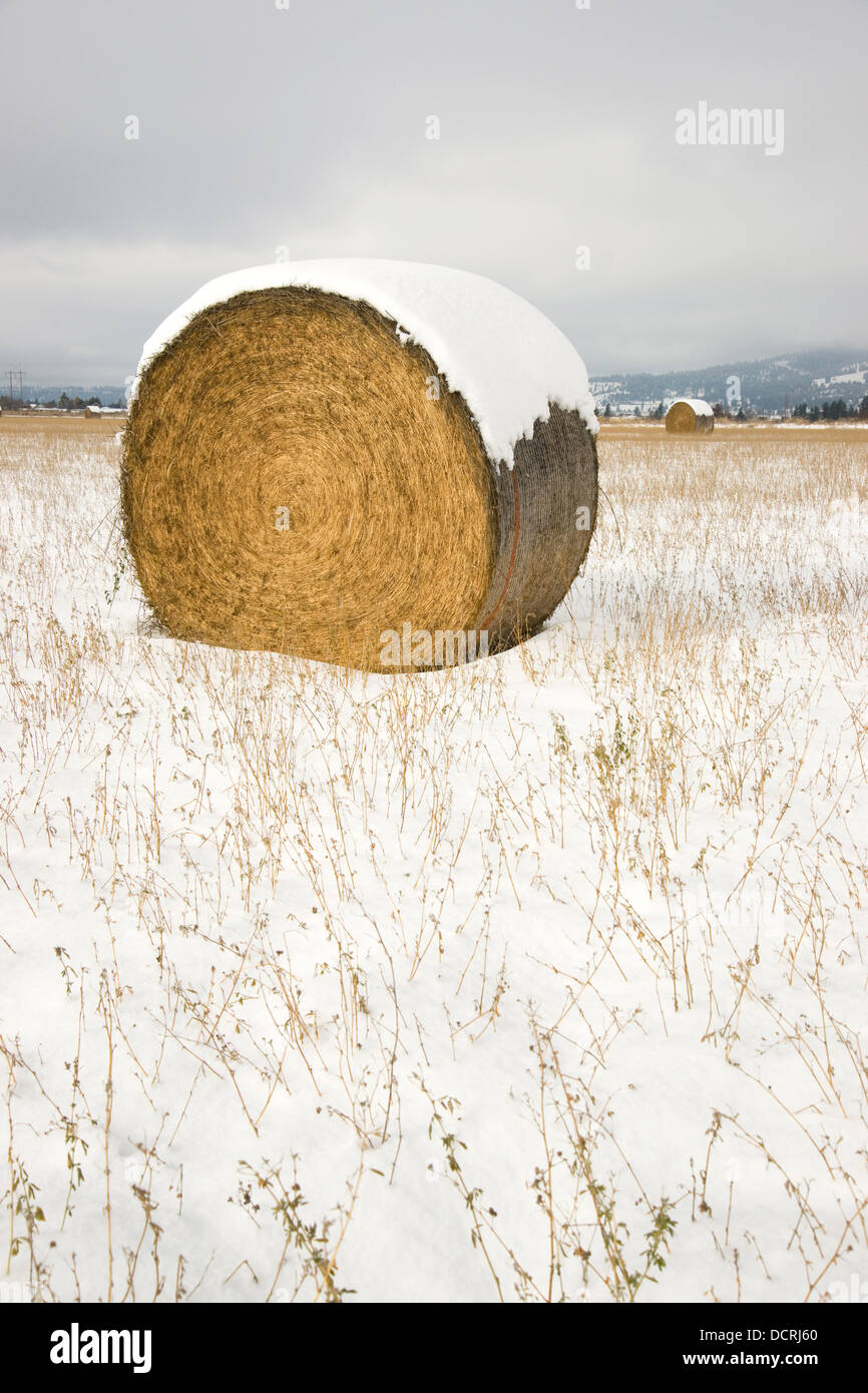 Rolled snow hi-res stock photography and images - Alamy