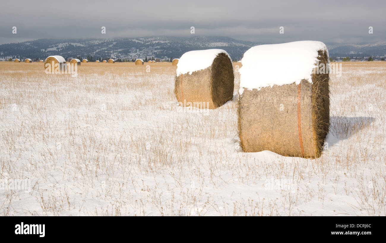 Rolled snow hi-res stock photography and images - Alamy