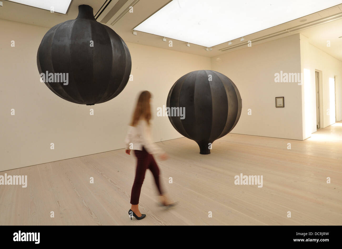 Thomas Zipp: Black Balloons Gesamtkunstwerk: New Art From Germany ...