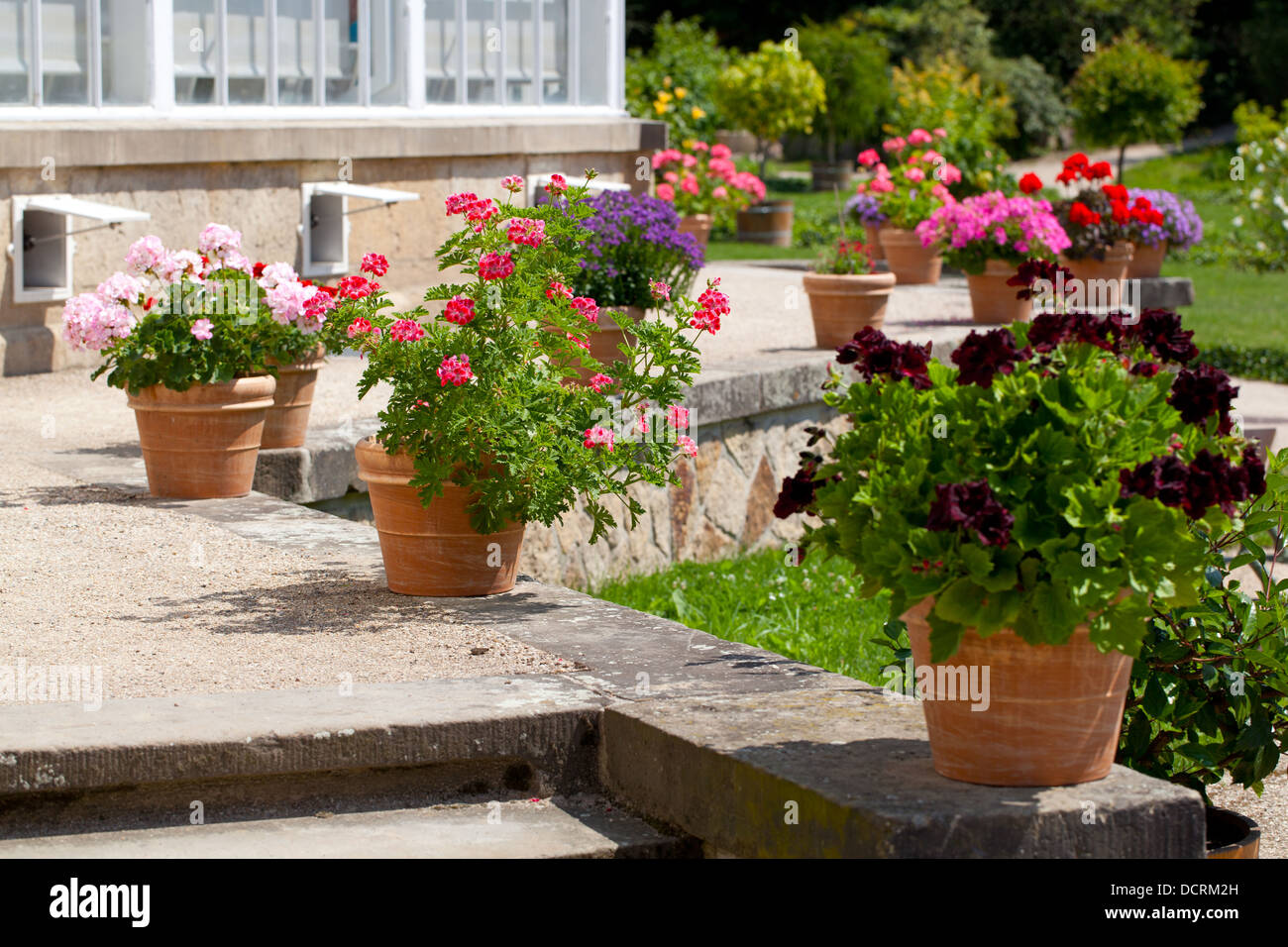 Landscaped flower garden Stock Photo - Alamy