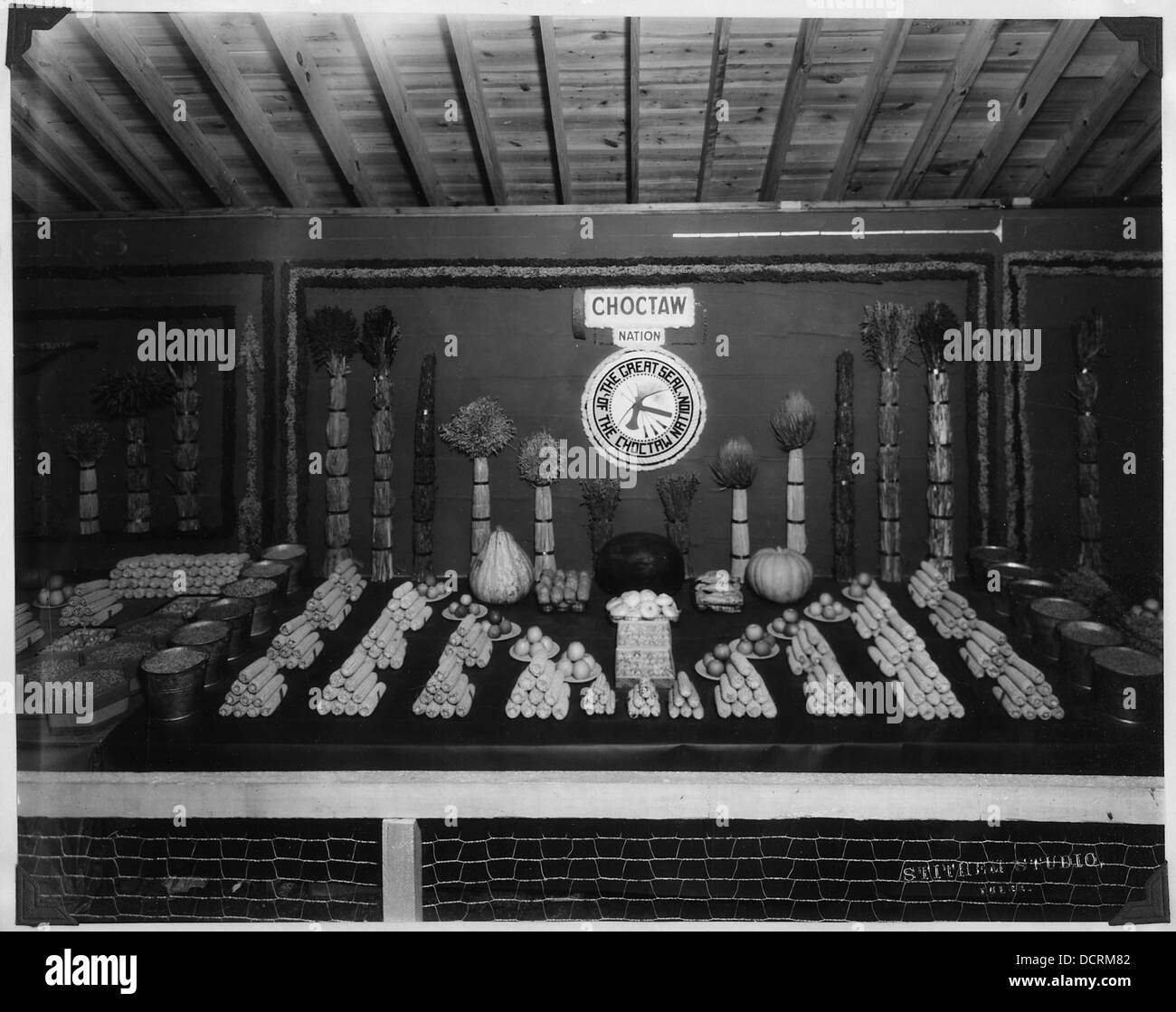 A report documenting the activities and progress of the Division of ...