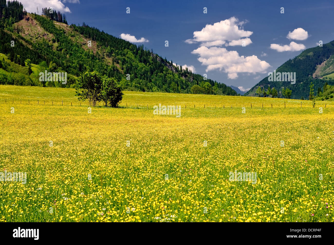 Austria in springtime Stock Photo - Alamy