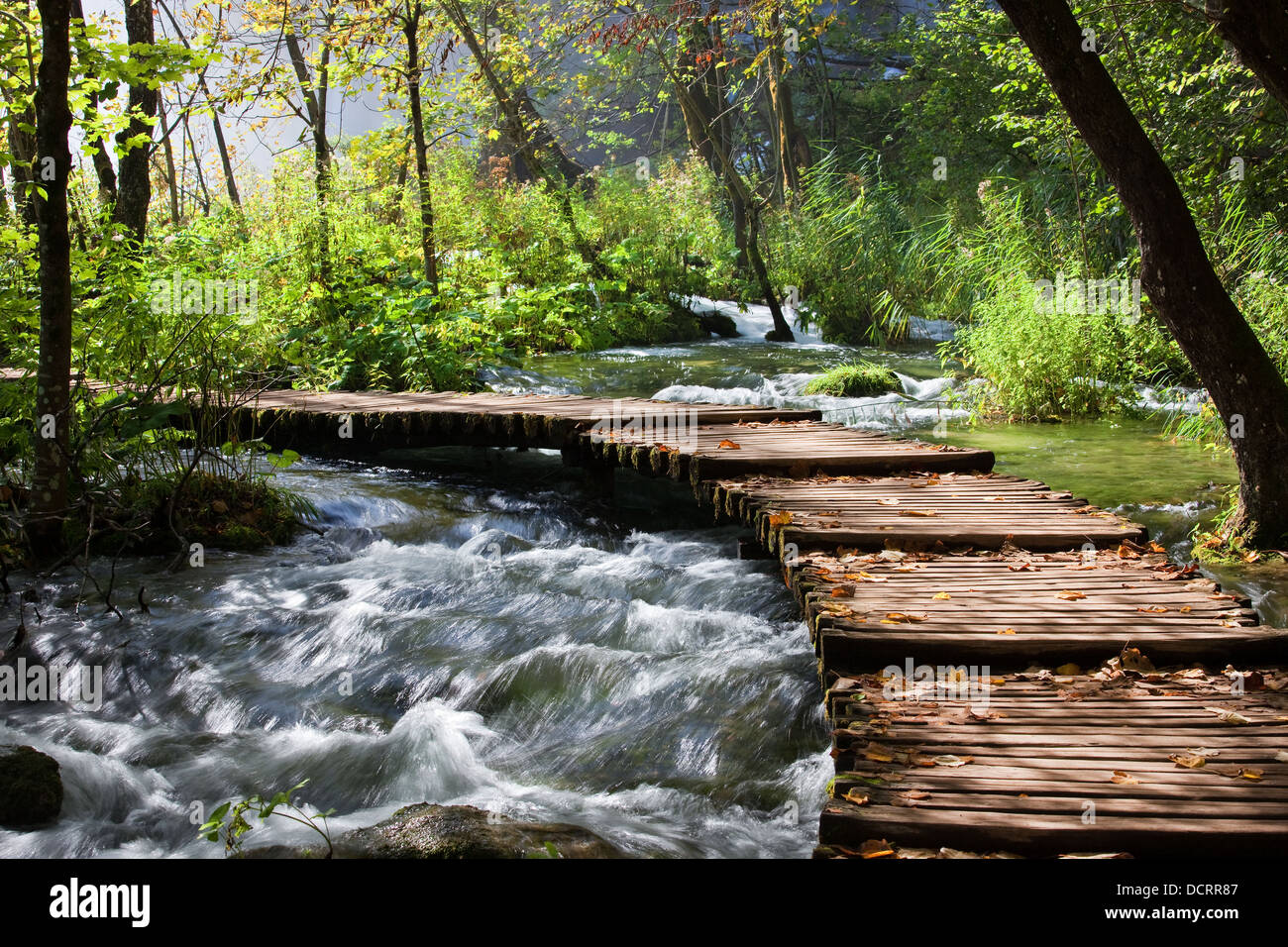 Wooden foot bridge across the stream in mountain forest, Croatia Stock ...
