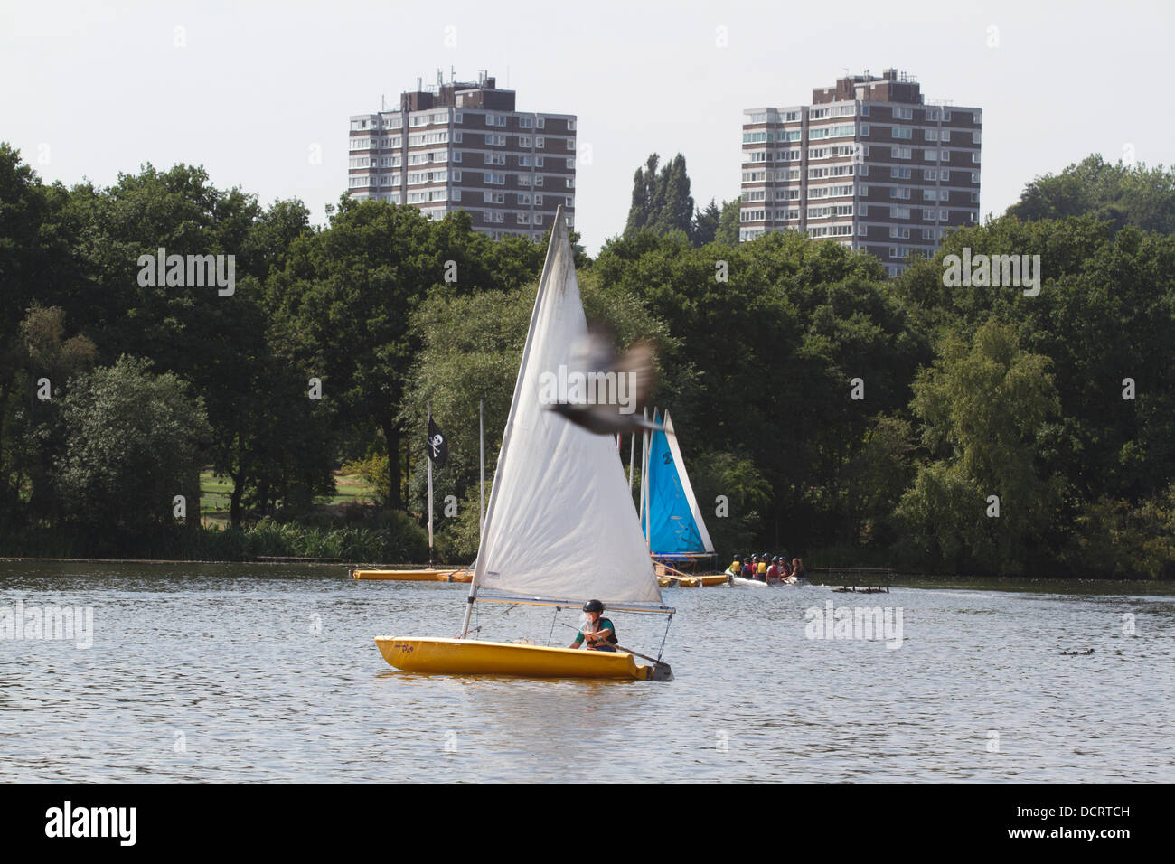 Wimbledon London, UK. 21st August 2013. Dinghies sail on Wimbledon lake ...