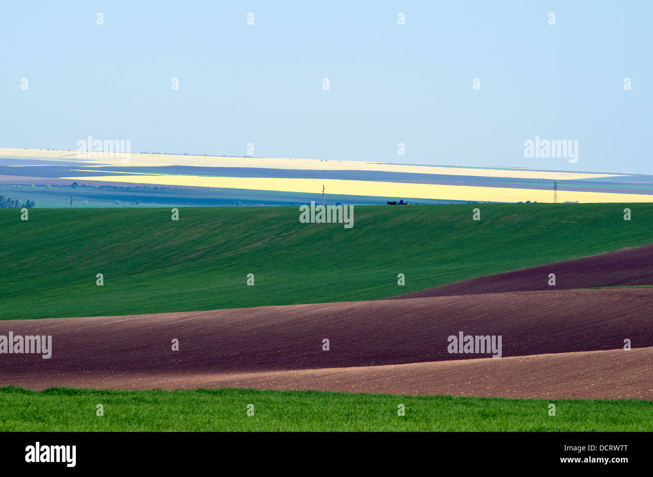 The green wheat hi-res stock photography and images - Alamy
