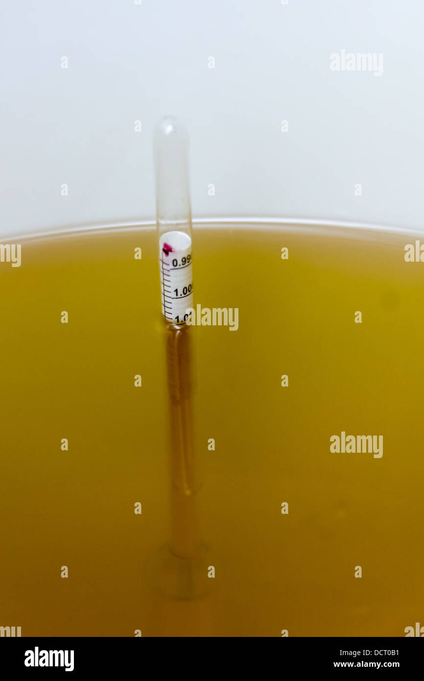 Fruit floats hi-res stock photography and images - Alamy