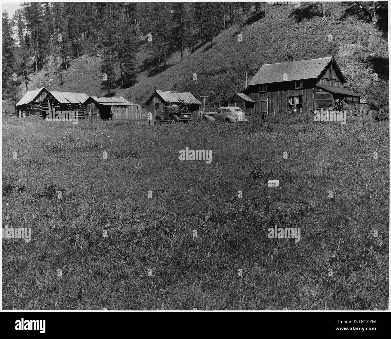 Group approval Black and White Stock Photos & Images - Alamy