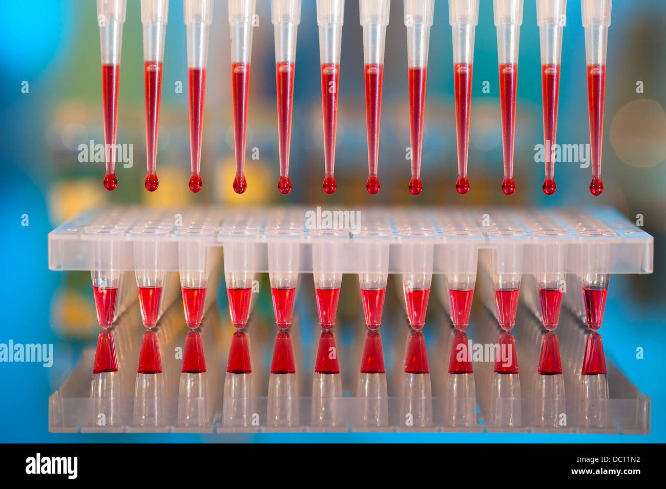 96 well plate hi-res stock photography and images - Alamy