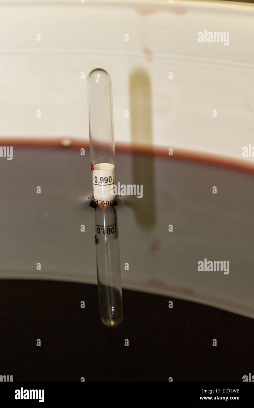 Specific Gravity High Resolution Stock Photography and Images - Alamy