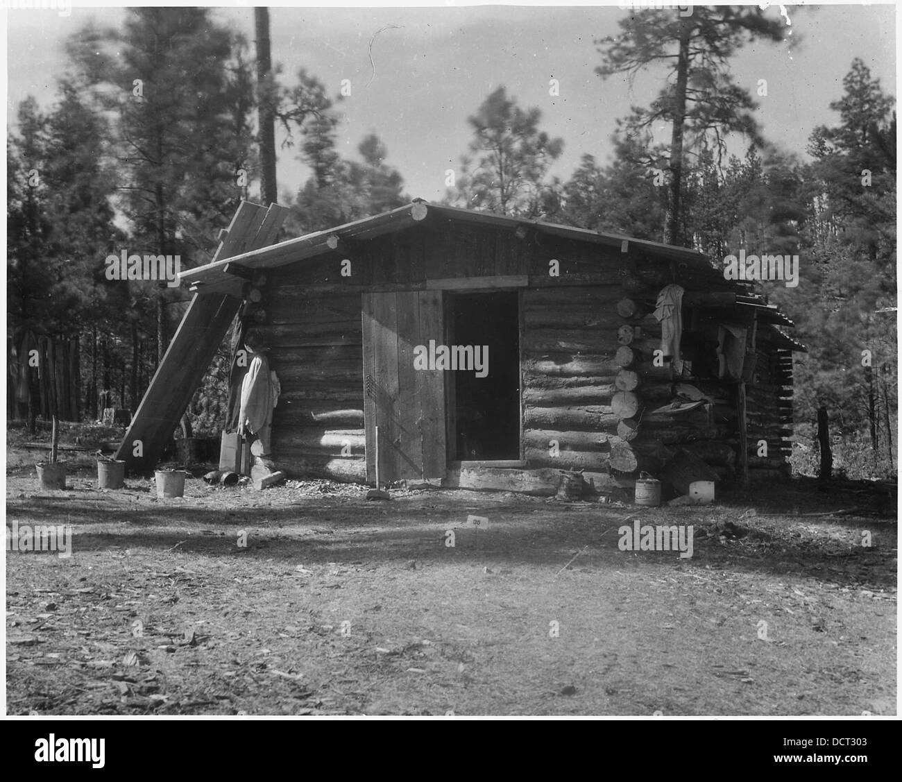 This image shows a recently constructed cabin on Dunn's Placer, used as ...