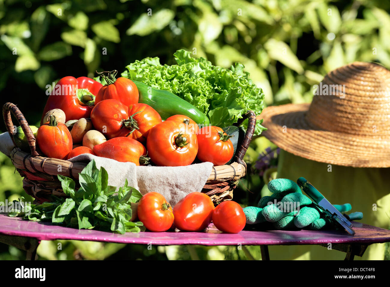 Vegetable potager hi-res stock photography and images - Alamy
