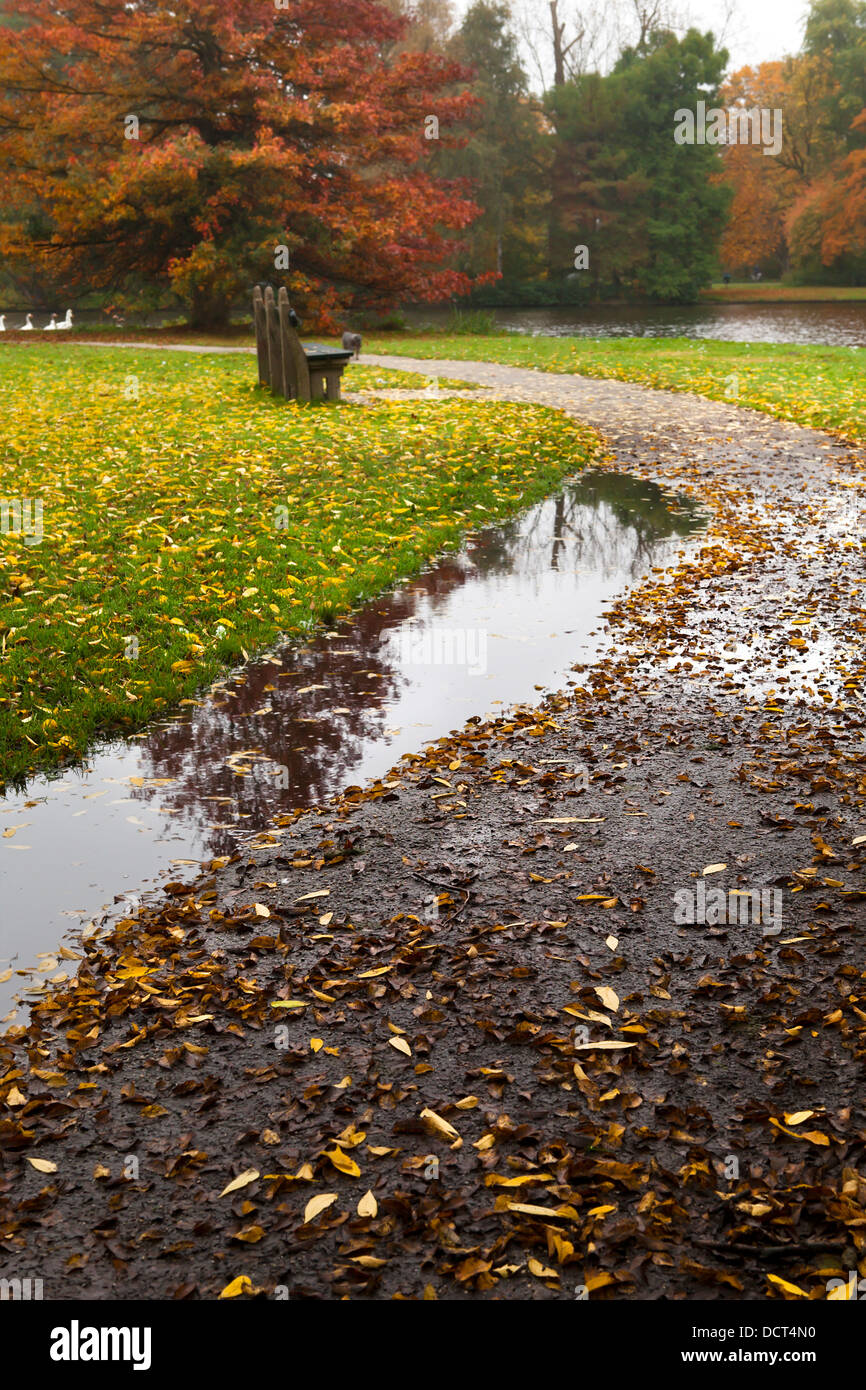 Puddle reflection on path hi-res stock photography and images - Alamy