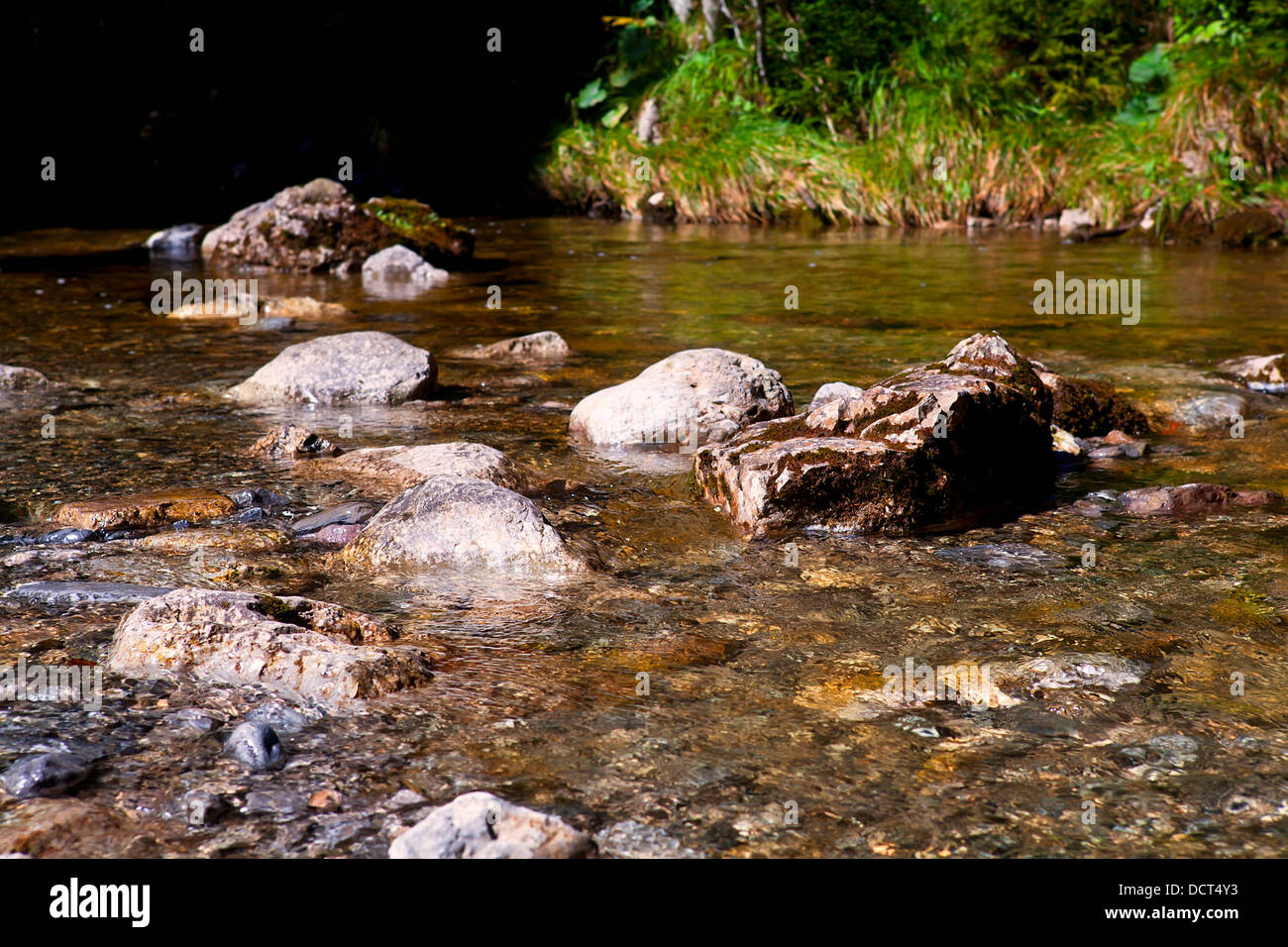 Alpine streamlet hi-res stock photography and images - Alamy