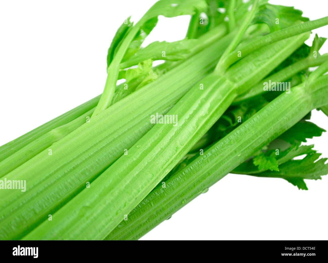 White raw celery hi-res stock photography and images - Alamy