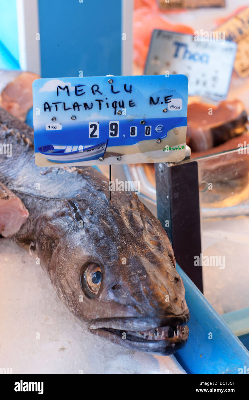 Tail hake hi-res stock photography and images - Alamy