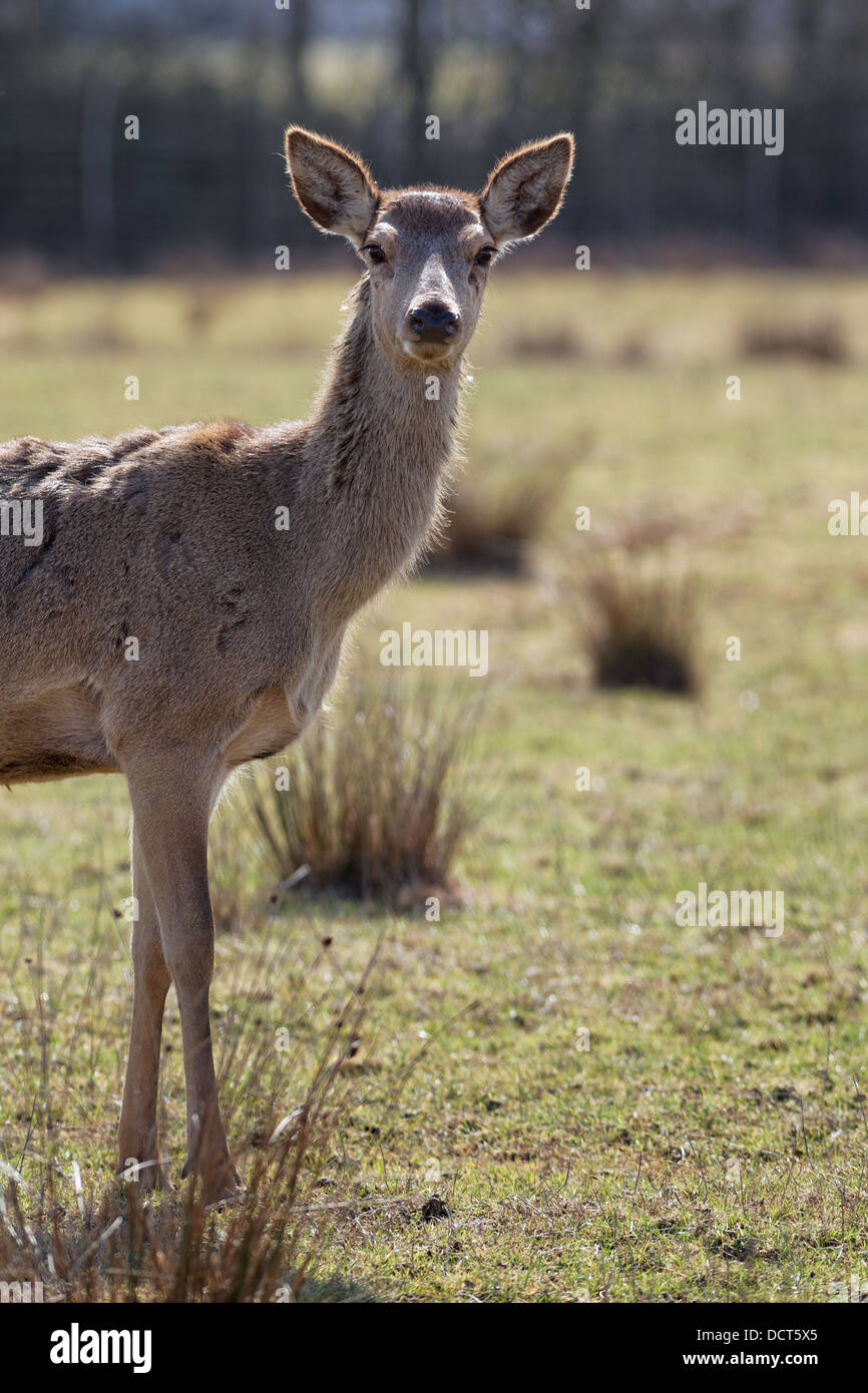 Climate alert hi-res stock photography and images - Alamy
