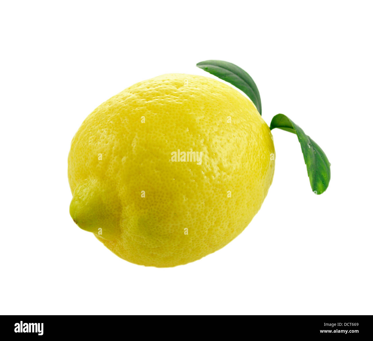 Green lemon leaf Cut Out Stock Images & Pictures - Alamy