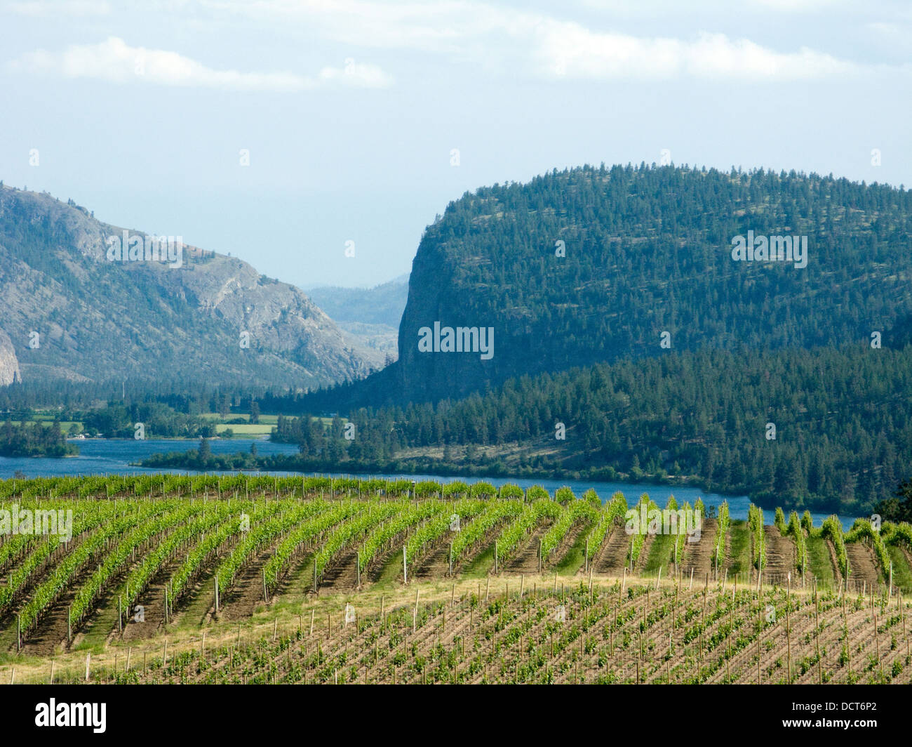 BLUE MOUNTAIN VINEYARDS OKANAGAN FALLS VASEAUX LAKE SOUTH OKANAGAN ...