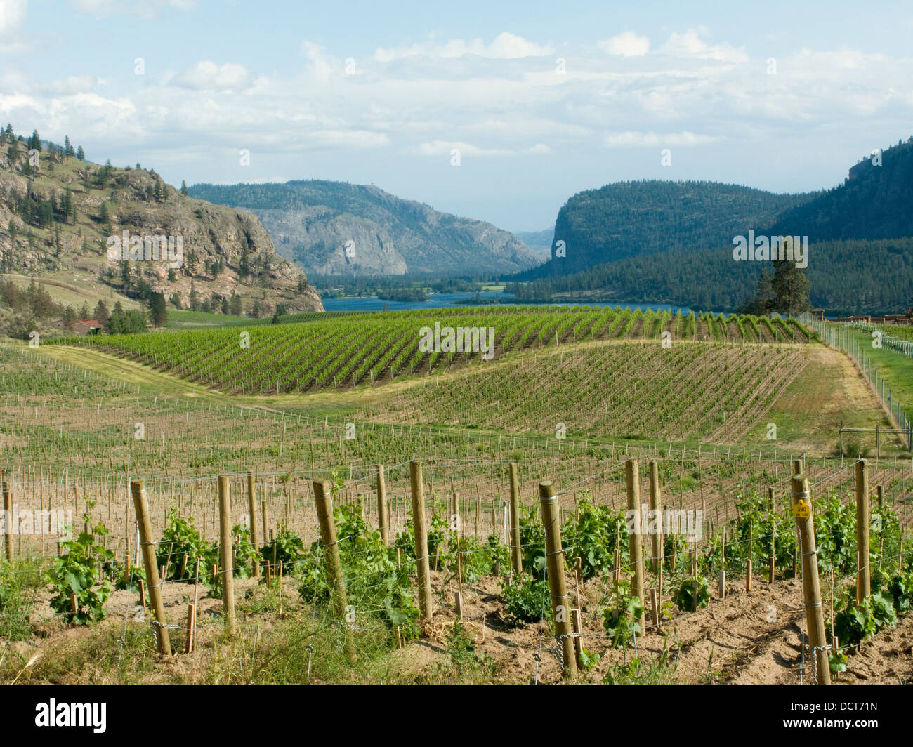 South okanagan valley hi-res stock photography and images - Alamy