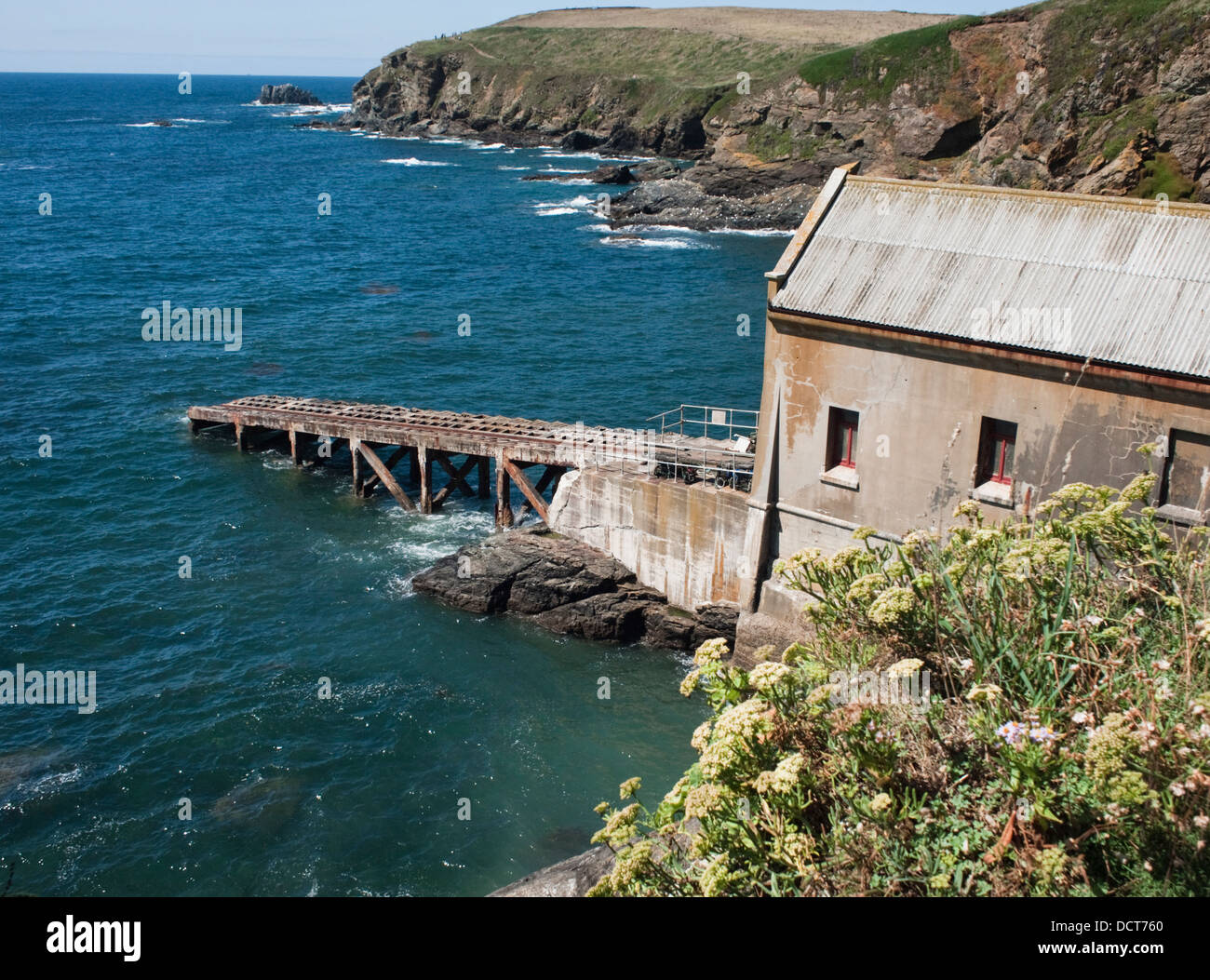 Uk sea life hi-res stock photography and images - Alamy