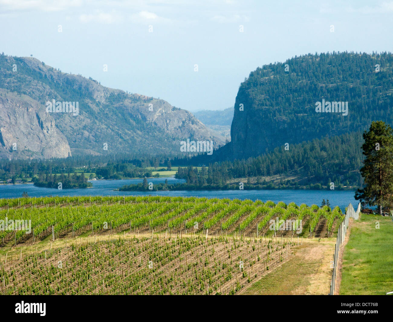 BLUE MOUNTAIN VINEYARDS OKANAGAN FALLS VASEAUX LAKE SOUTH OKANAGAN ...