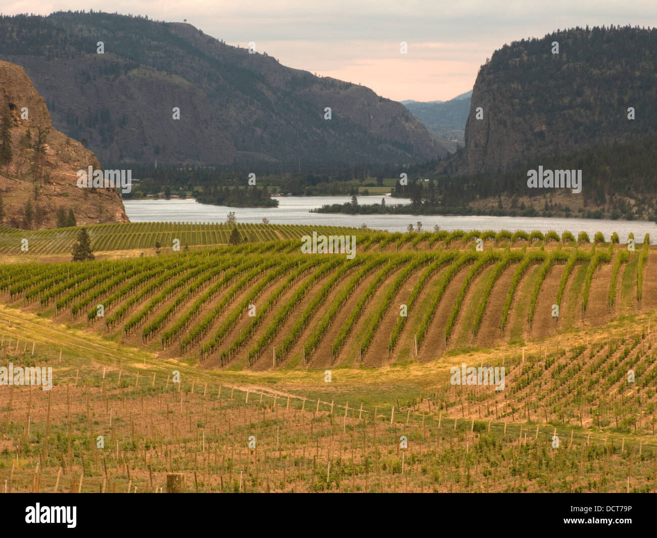 South okanagan valley hi-res stock photography and images - Alamy