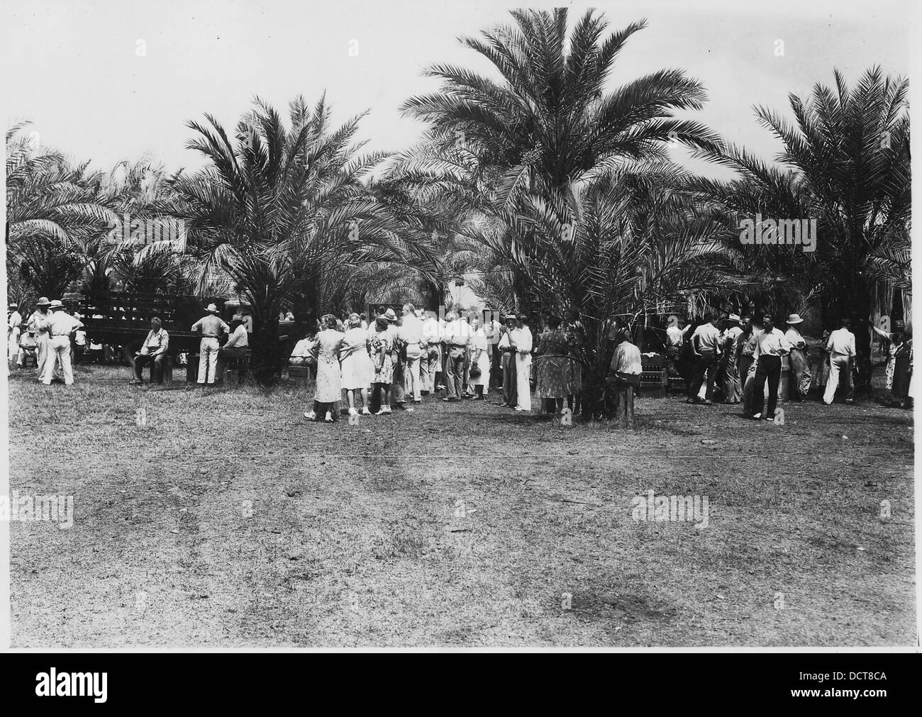 CCC Camp BR-74 Yuma Project Gadsden Park, Arizona, Photo of crowds ...