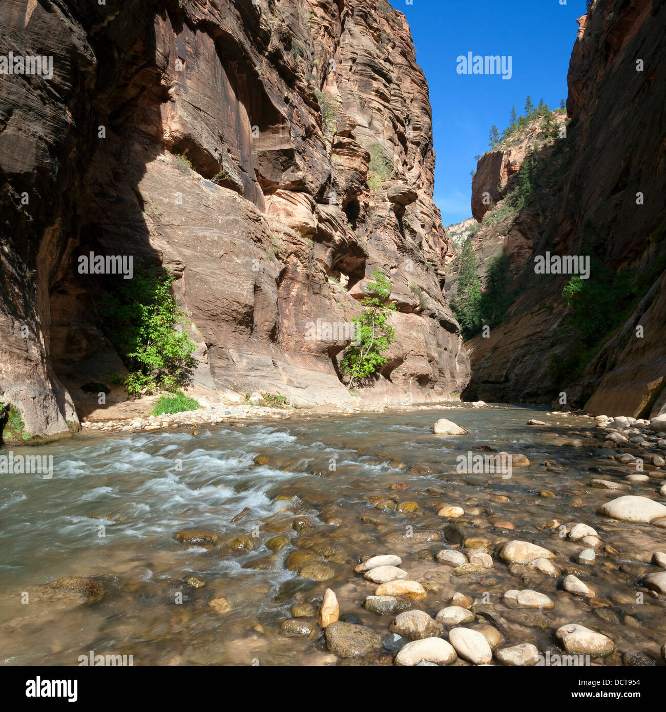 Virgin River square Stock Photo - Alamy